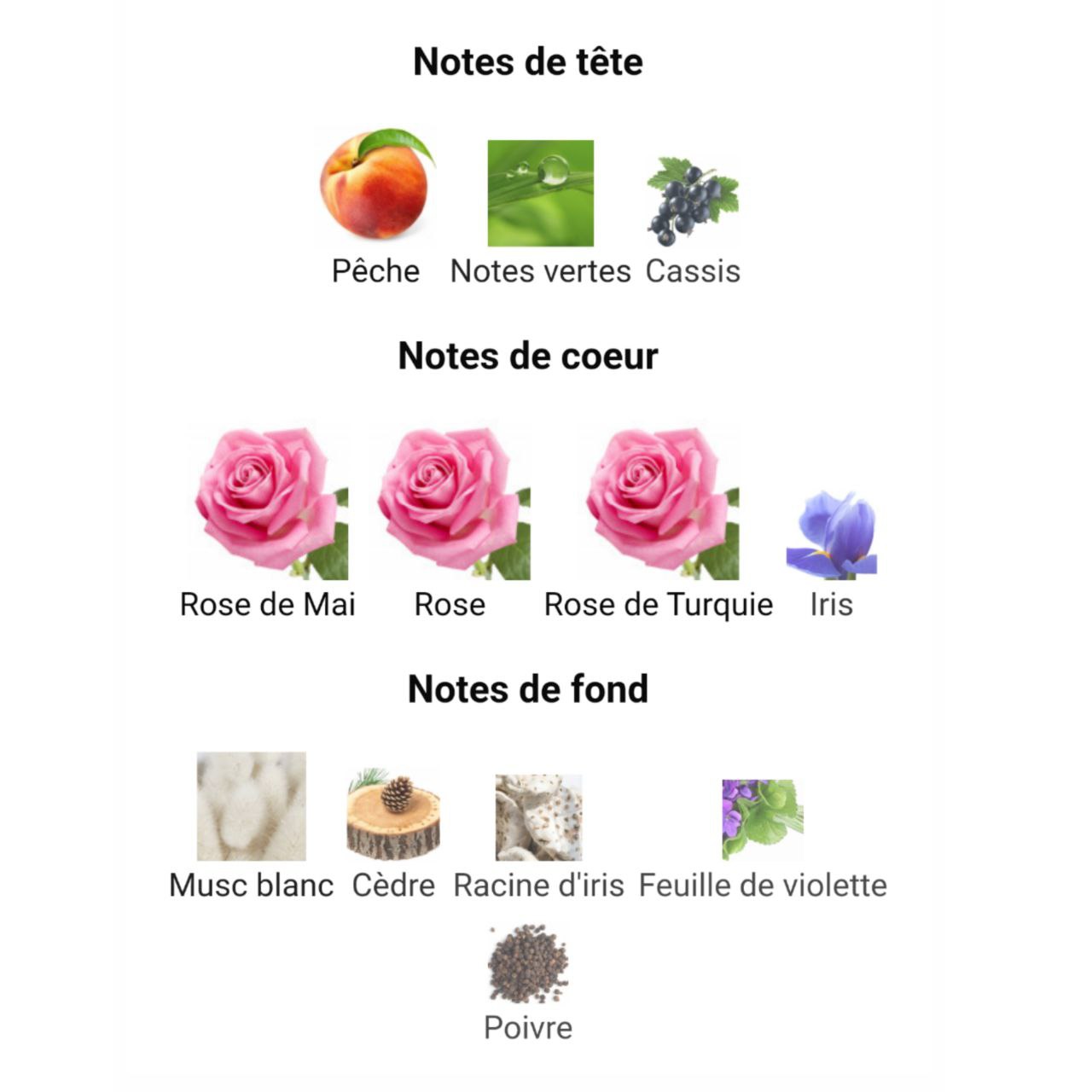 Champ de Rose - BMH Perfume